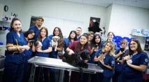 Healthcare Training School & Healthcare College at CHAC